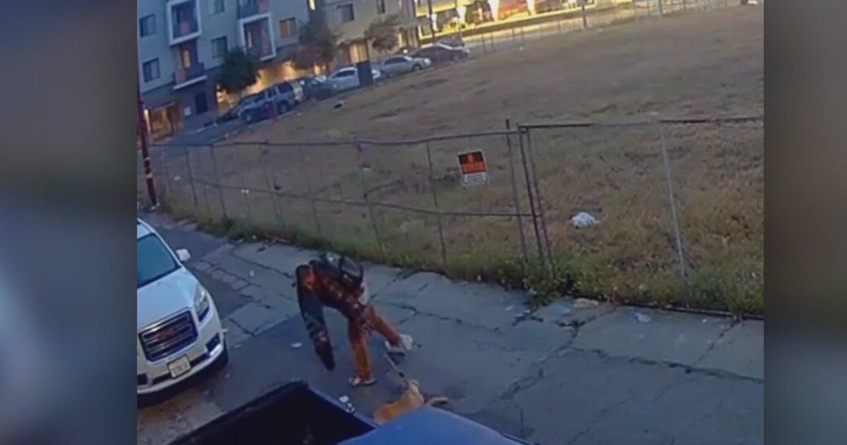 Suspect in disturbing animal abuse case in Long Beach pleads not guilty ...
