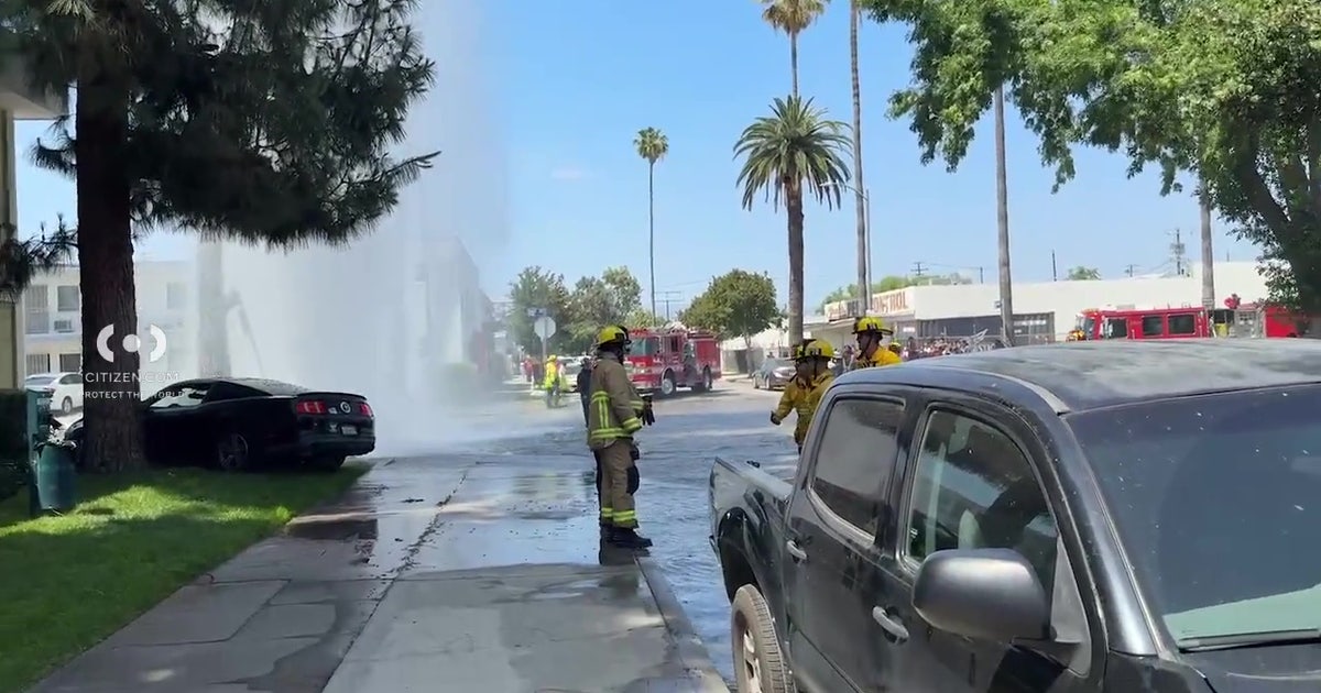 Canoga Park police chase ends with driver plowing into fire hydrant ...