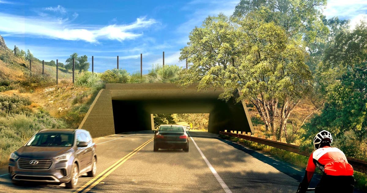 101 Freeway wildlife crossing reaches final phase | FOX 11 Los Angeles