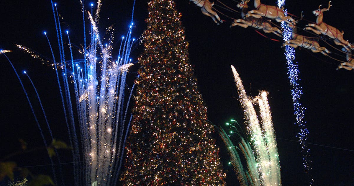 The Grove's iconic Christmas tree arrives ahead of annual tree lighting ...