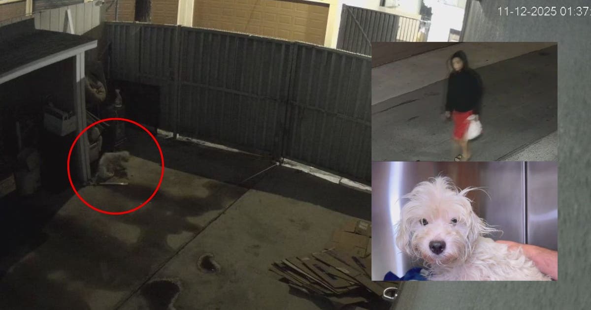 Woman throws dog over fence in plastic bag in Anaheim | FOX 11 Los Angeles