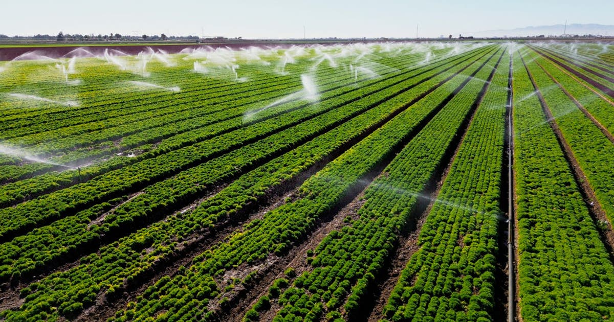 Prominent California farming mogul's wife found dead in Arizona amid ...