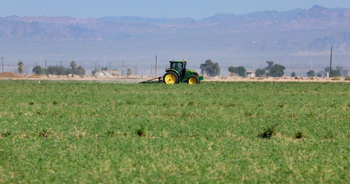 Prominent California farmer arrested in shooting death of estranged ...