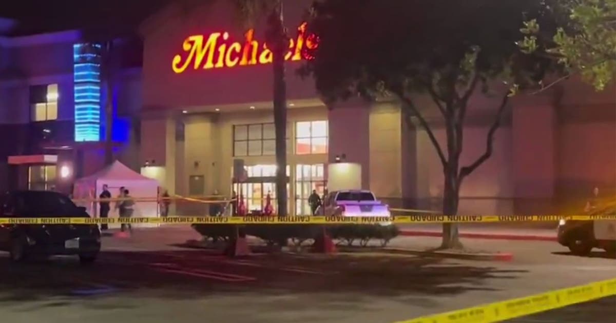 1 dead in shooting outside a Los Angeles Michaels in San Fernando ...