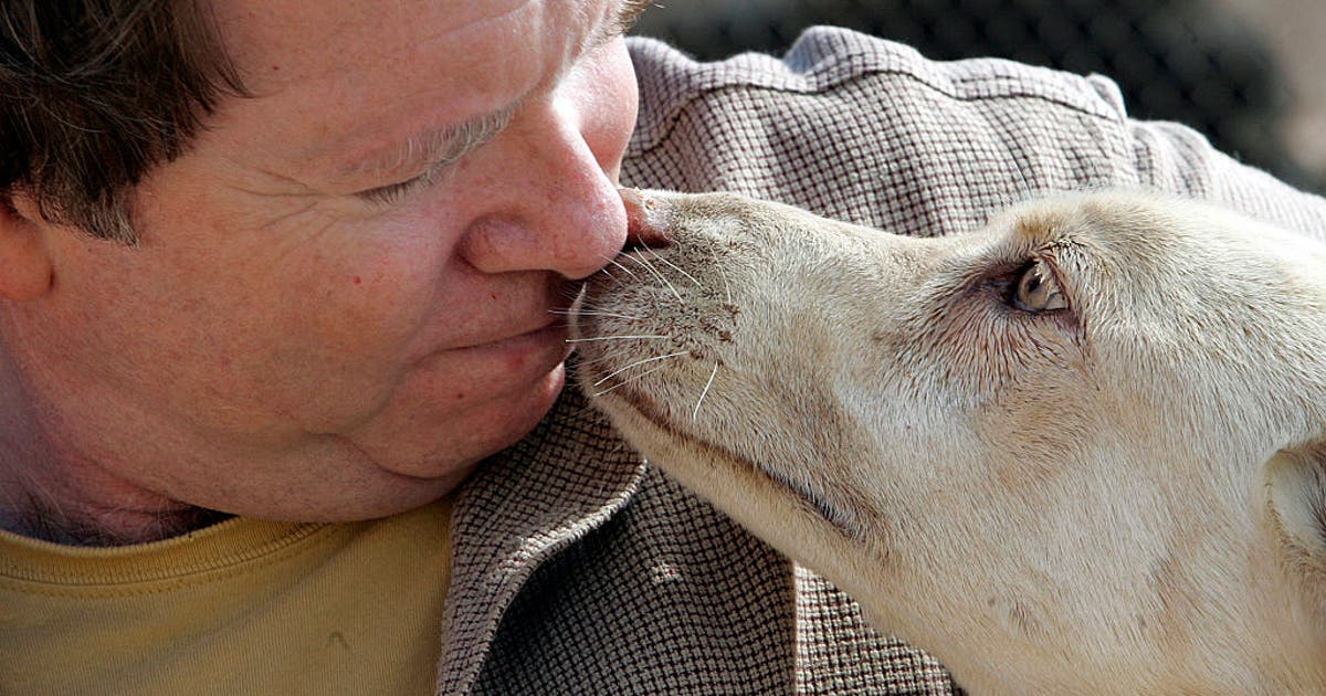Founder of SoCal animal rescue accused of attempting to kidnap former ...