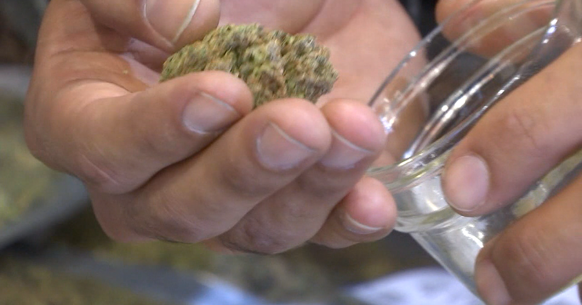 Historic sales: Bay Area dispensaries among first in state to sell ...