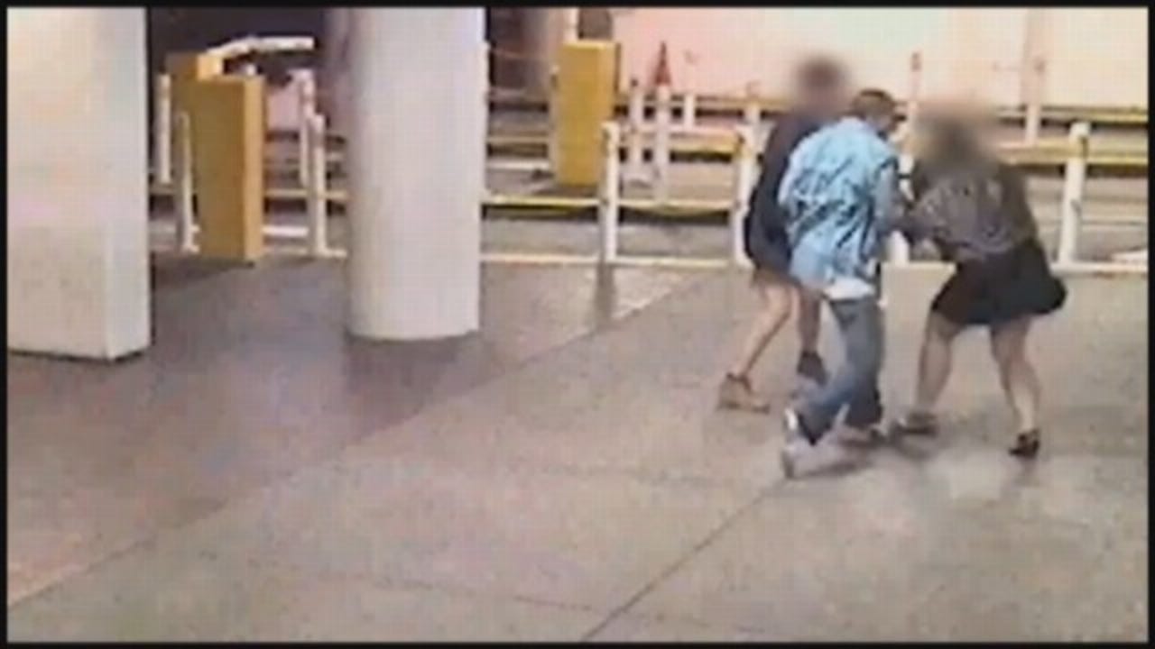 Surveillance Video Released In Purse Snatching