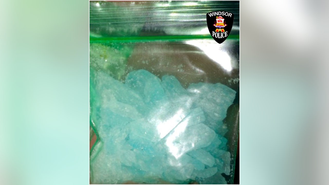 Blue methamphetamine among drugs found in bust in Windsor | KTVU FOX 2