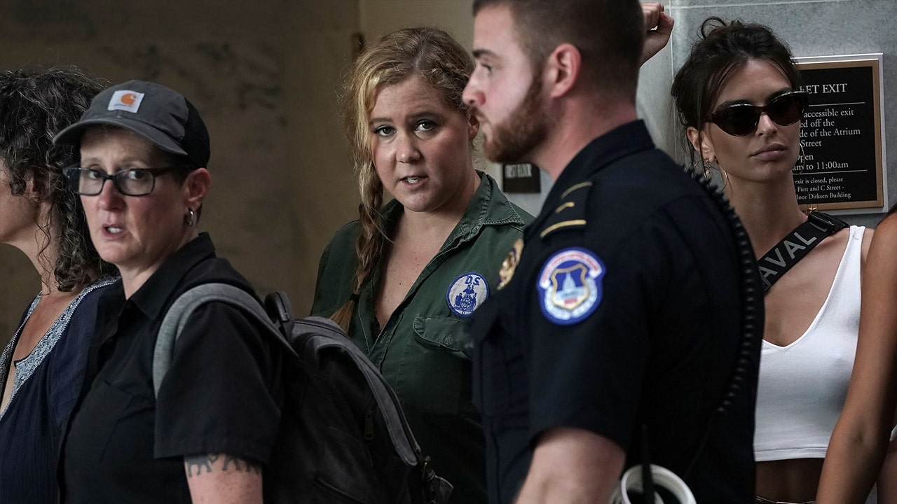 Amy Schumer arrested during anti-Kavanaugh sit-in protest | KTVU FOX 2 Amy Schumer arrested during anti-Kavanaugh sit-in protest | KTVU FOX 2