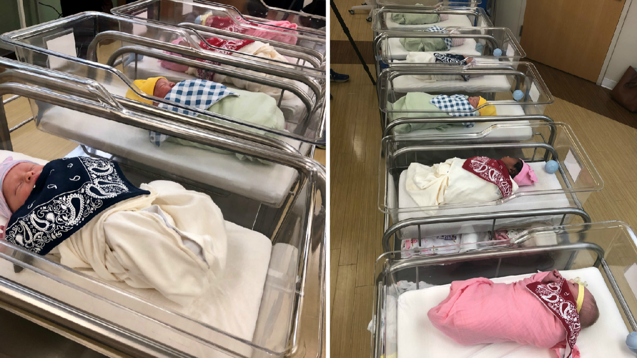 48 babies in 48 hours, Texas hospital celebrates baby boom | KTVU FOX 2