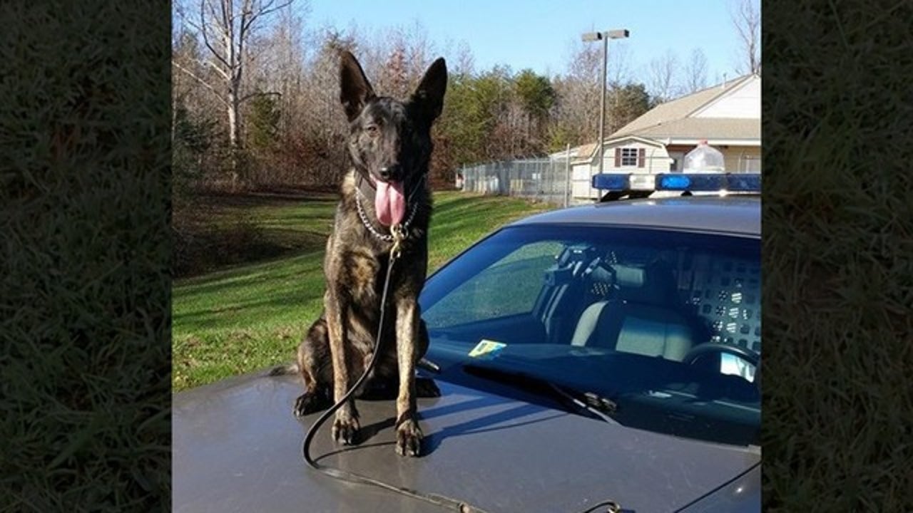 Police K9 Bane finds two lost children within 15 minutes | KTVU FOX 2