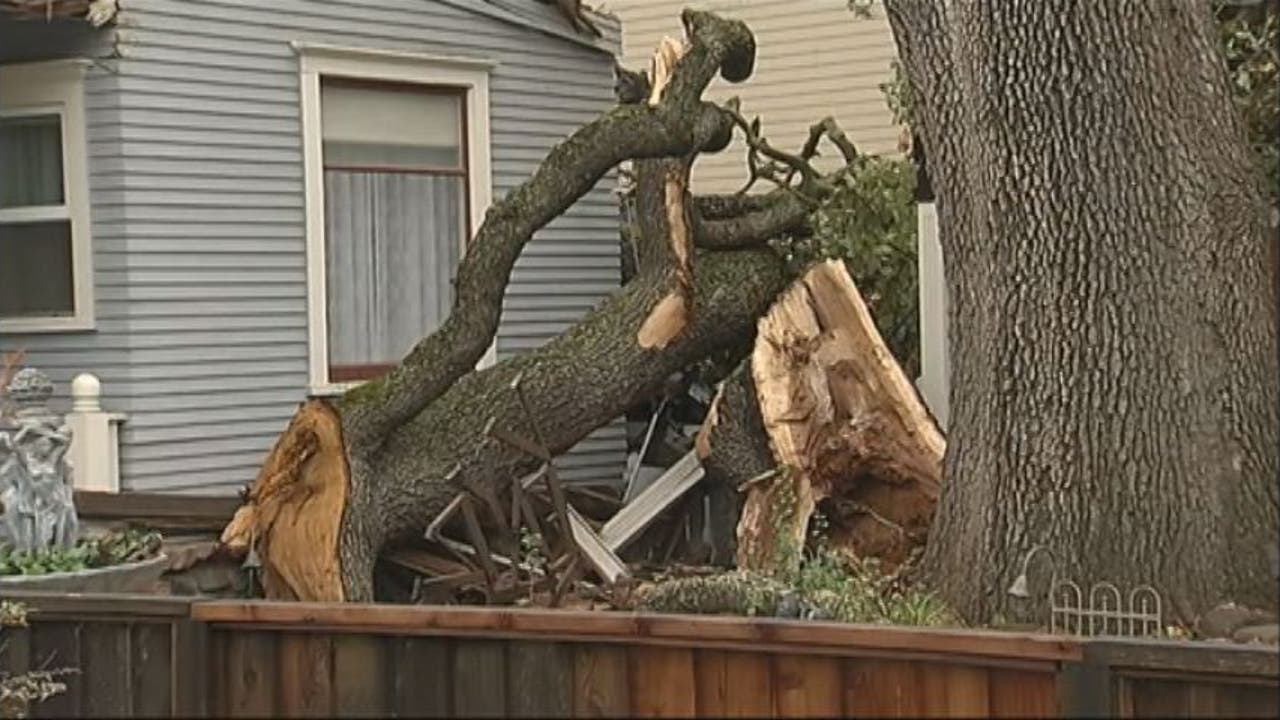 Tree falls into home in Morgan Hill | KTVU FOX 2