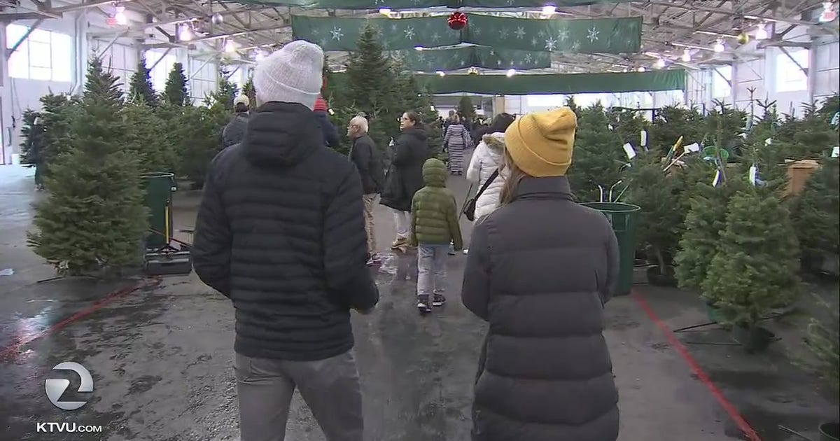 Guardsmen Christmas tree lot opens in San Francisco | KTVU FOX 2