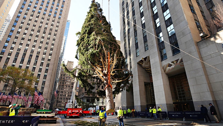 2020 Rockefeller Center Christmas tree goes up | KTVU FOX 2 2020 Rockefeller Center Christmas tree goes up | KTVU FOX 2