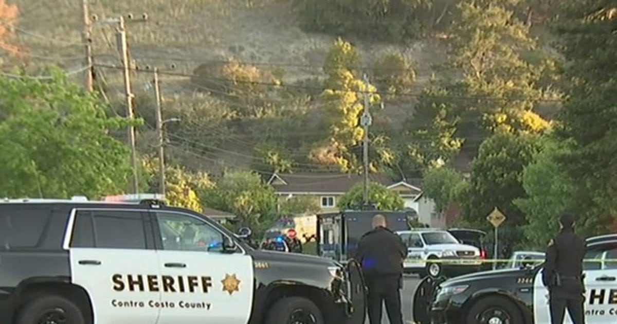 Armed man in Pinole surrenders to police; dog fatally shot | KTVU FOX 2