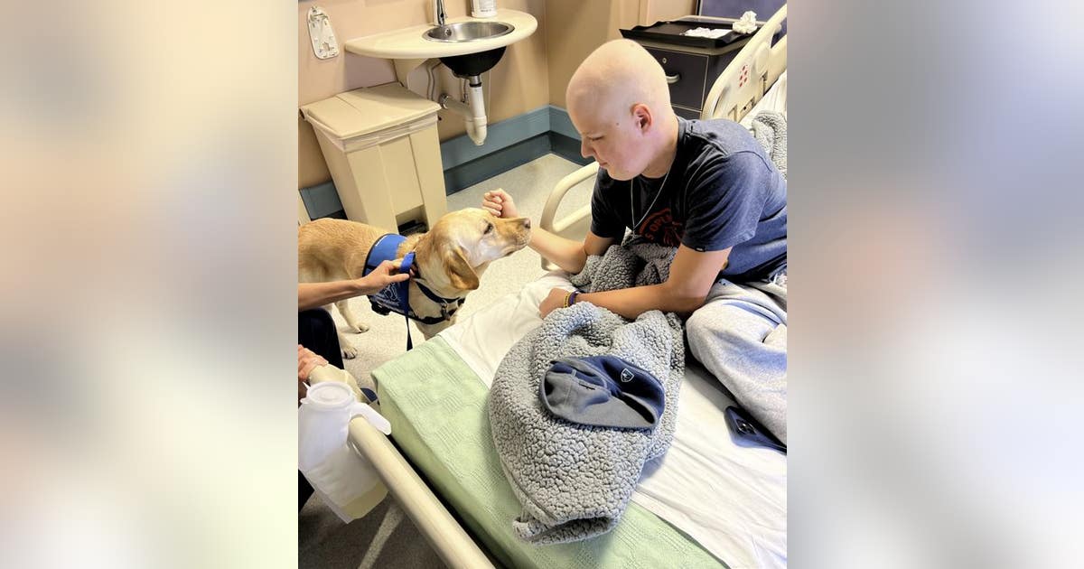 High school volunteers work on room makeover for Lafayette teen ...