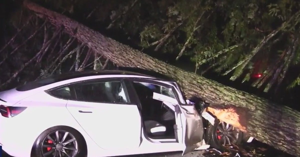 Tree crushes Tesla, rain causes dangerous driving in Bay Area | KTVU FOX 2
