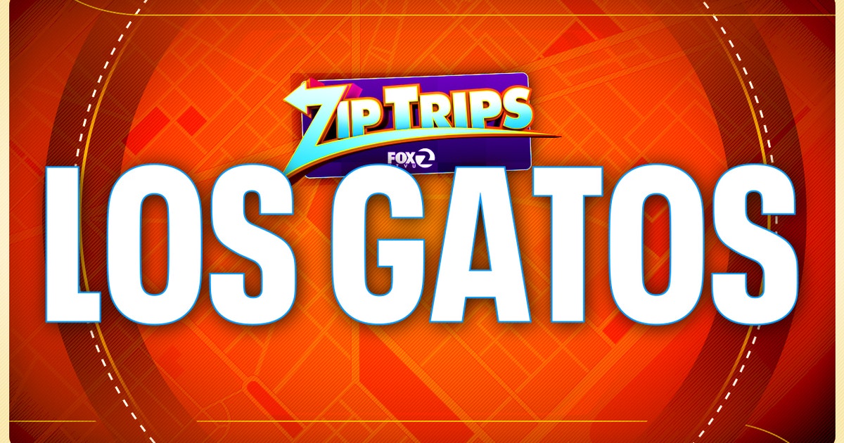 KTVU heads to Los Gatos for a Zip Trip | KTVU FOX 2
