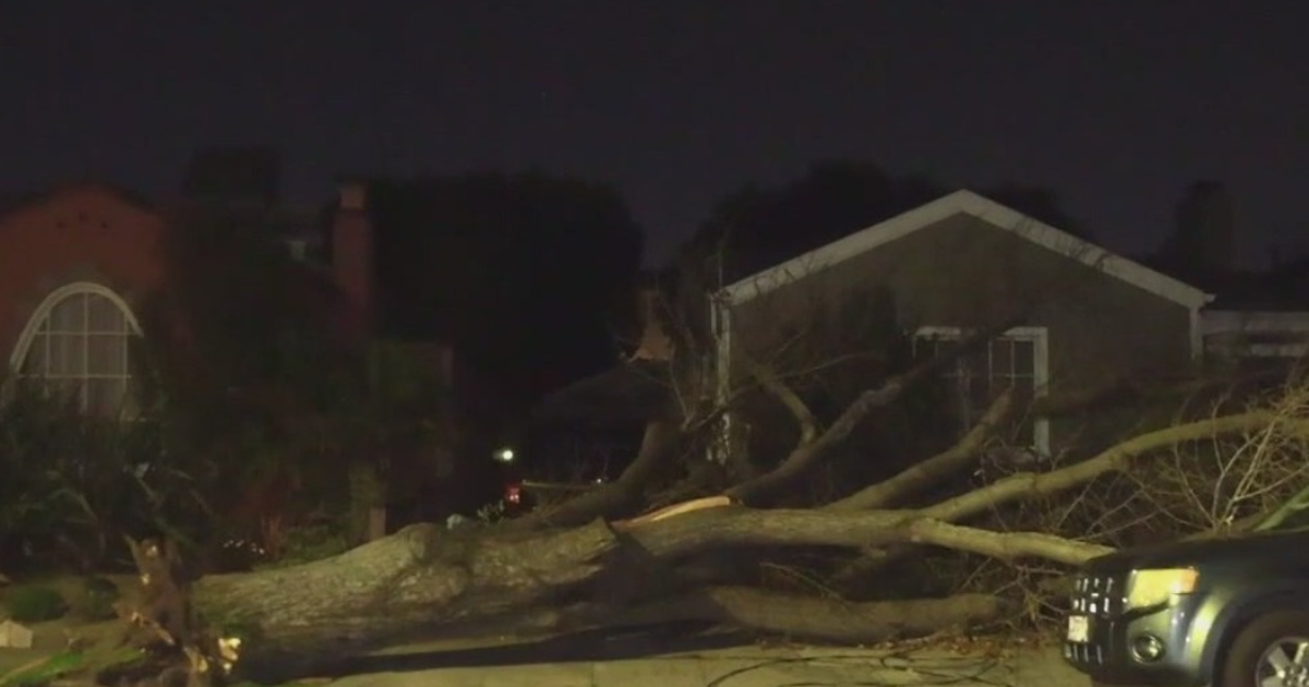 Strong winds topple trees in Bay Area, cause power outages | KTVU FOX 2
