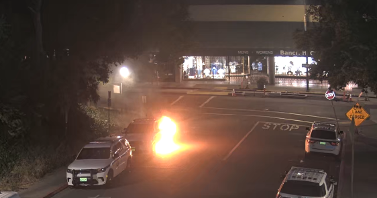 East Bay man pleads guilty to firebombing Oakland federal building, UC ...
