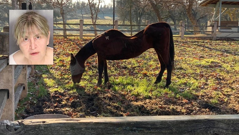 California woman arrested after 27 horses found dead on property | KTVU ... California woman arrested after 27 horses found dead on property | KTVU ...