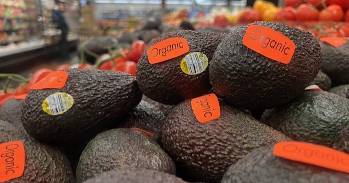 CA officials appeal to Trump for help in avocado threat | KTVU FOX 2