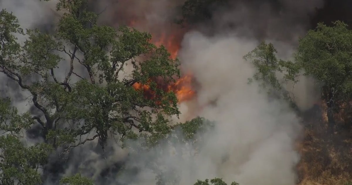 Vegetation fire burns near Mt. Diablo | KTVU FOX 2