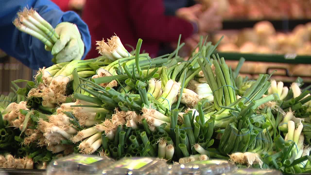 Novato 'Little Free Libraries' turn into miniature food pantries | KTVU ...