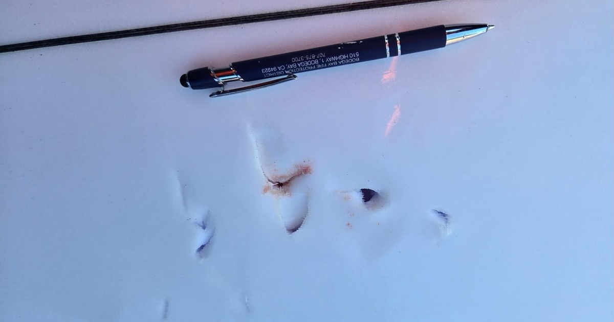 Shark bites surfer off Sonoma County coast | KTVU FOX 2