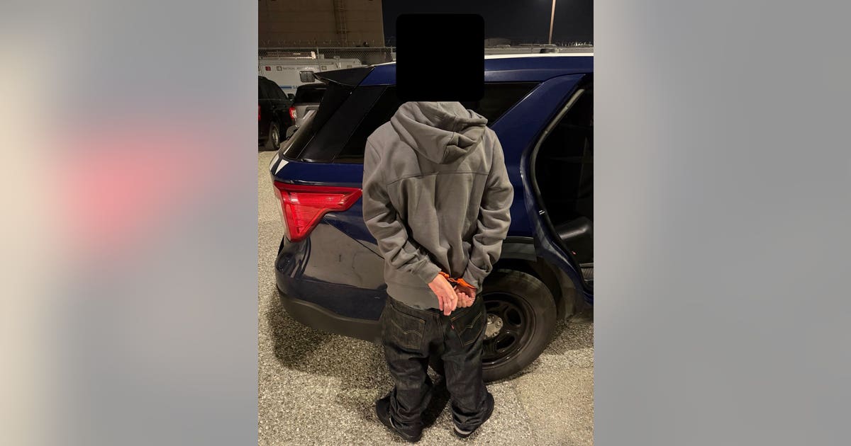 Valley Fair mall shooting suspect arrested: 17-year-old has prior ...
