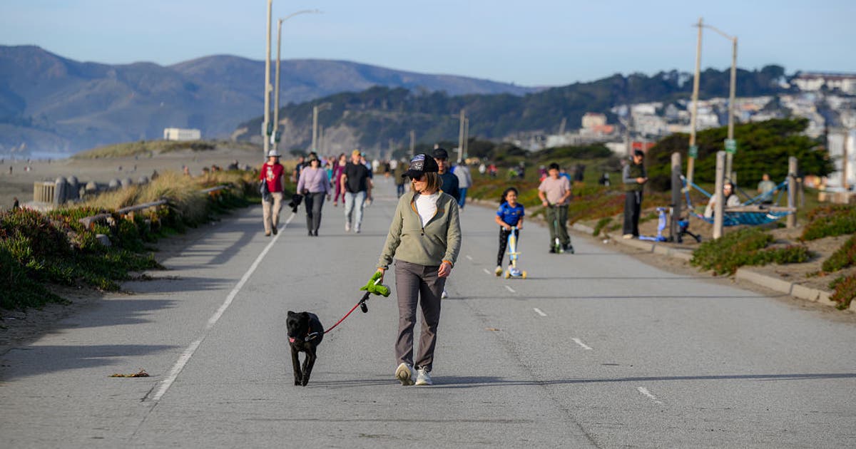 SF supervisor accuses colleague of 'political sabotage' over Great ...
