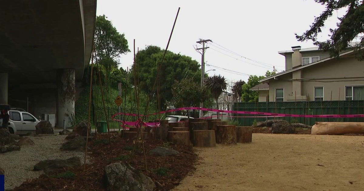 Neighbors complete work on blooming underpass garden in Oakland | KTVU ...