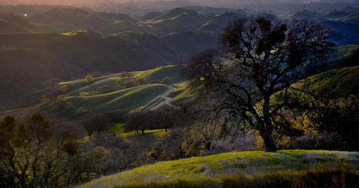 These Bay Area spots are in the running for ‘Best of California’s State ...