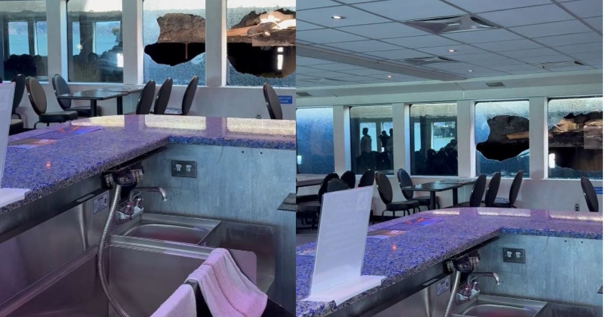 Alcatraz tourist ferry crashes into San Francisco's Pier 31 | FOX 13 ...