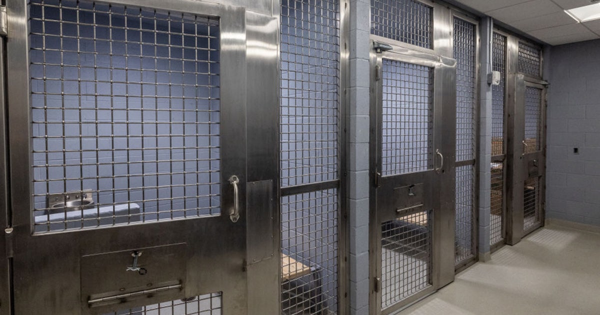 Ohio toddler dies after mom leaves child home alone for 10 days, police ...