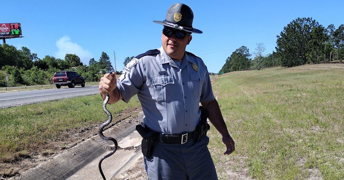 South Carolina trooper wrangles 4-foot snake from woman's car on ...