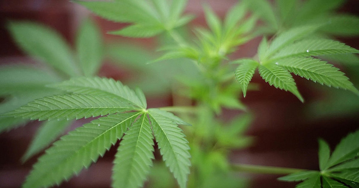 Ohio votes to legalize marijuana for adult recreational use | LiveNOW ...