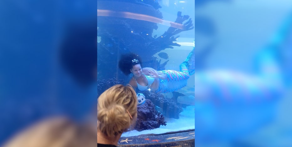 Real Captured Mermaids Aquariums Live Out Your Mermaid Fantasies In A