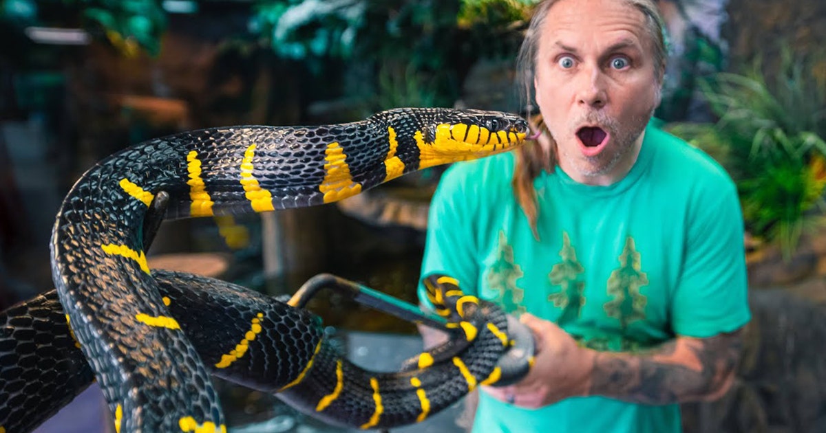 Brian Barczyk, reptile expert and YouTuber, dies of pancreatic cancer ...