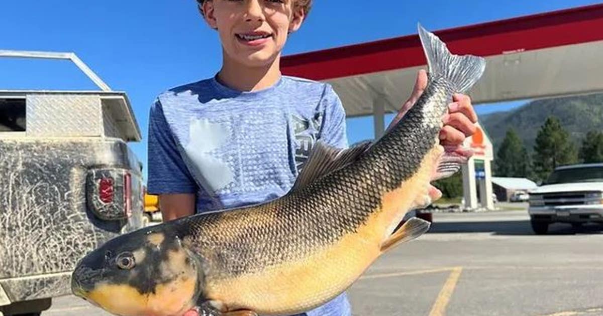 12-year-old reels in record-breaking fish from northwestern Montana ...