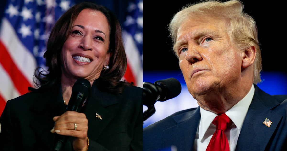 Can Kamala Harris beat Donald Trump? Initial reaction from swing states ...