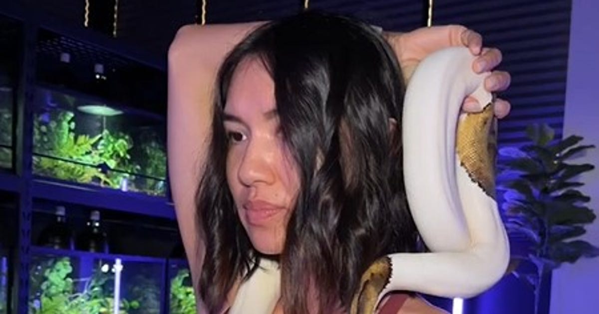 California yoga studio puts the 'hiss' in fitness with live python ...