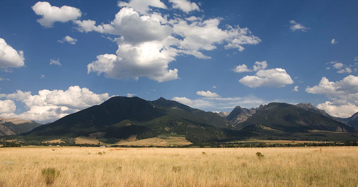 Montana camper found dead after 'vicious attack' near Big Sky, police ...