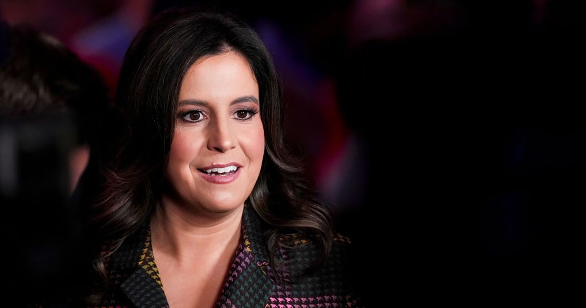 Trump picks Rep. Elise Stefanik to serve as UN ambassador | FOX 32 Chicago