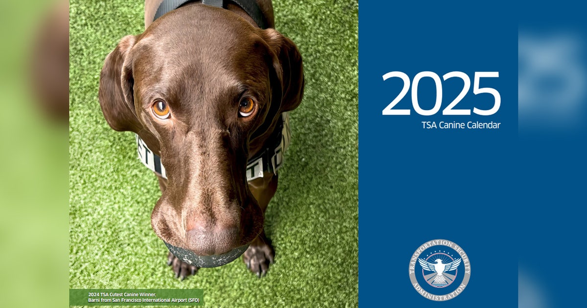 2025 TSA Canine Calendar: Meet the dogs | LiveNOW from FOX