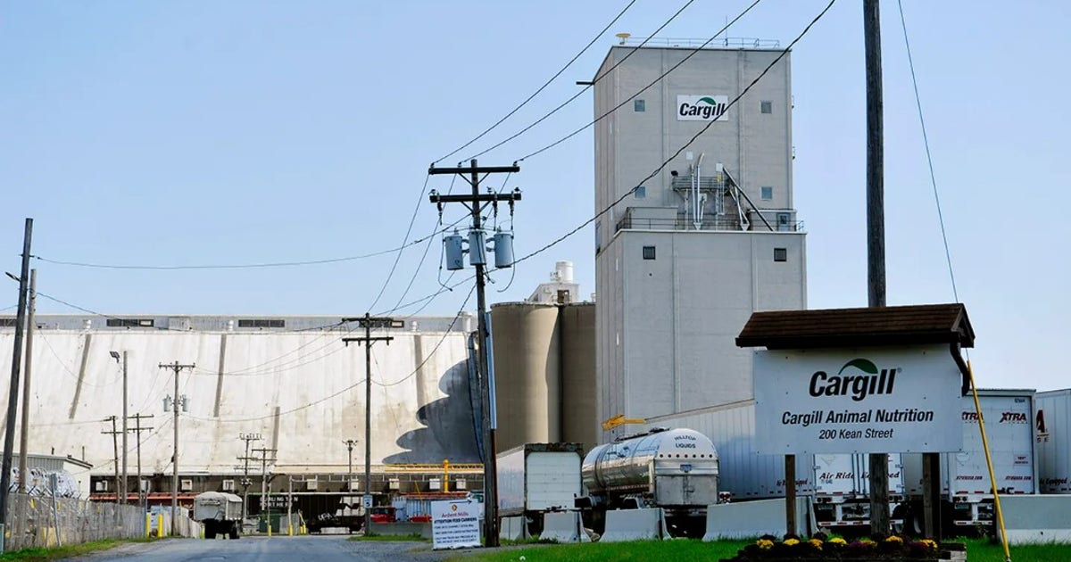 Cargill to lay off thousands of workers amid falling commodity prices ...