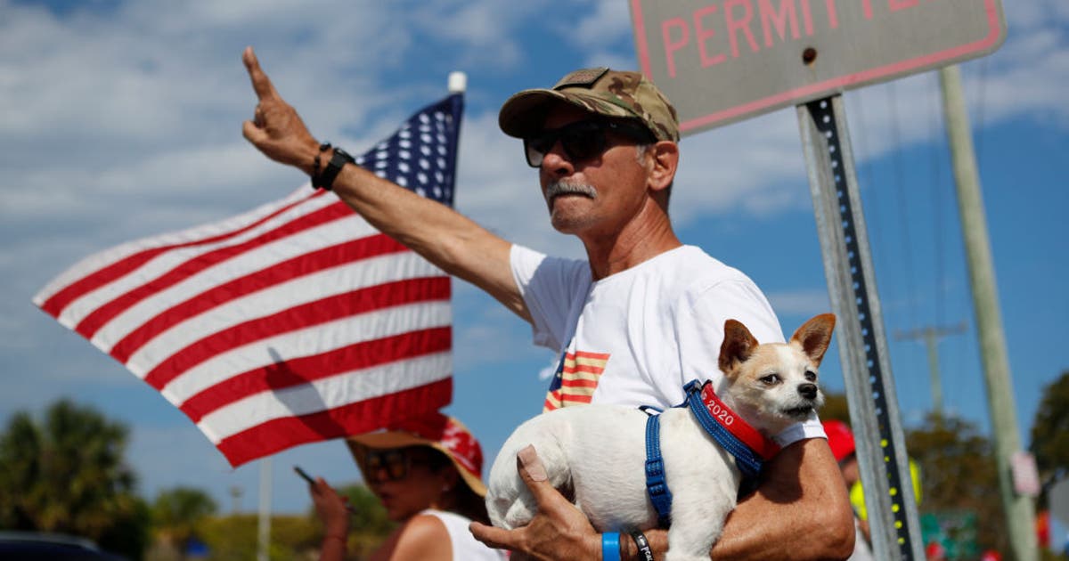 Cats vs. dogs: How pet ownership shaped the 2024 presidential election ...