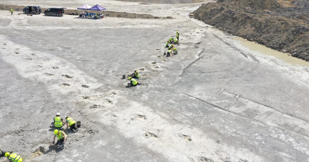 'Dinosaur highway' unearthed in England, dating back 166 million years ...