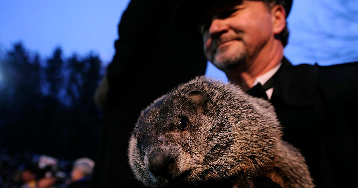 Will Punxsutawney Phil see his shadow Sunday on Groundhog Day? | FOX 35 ...