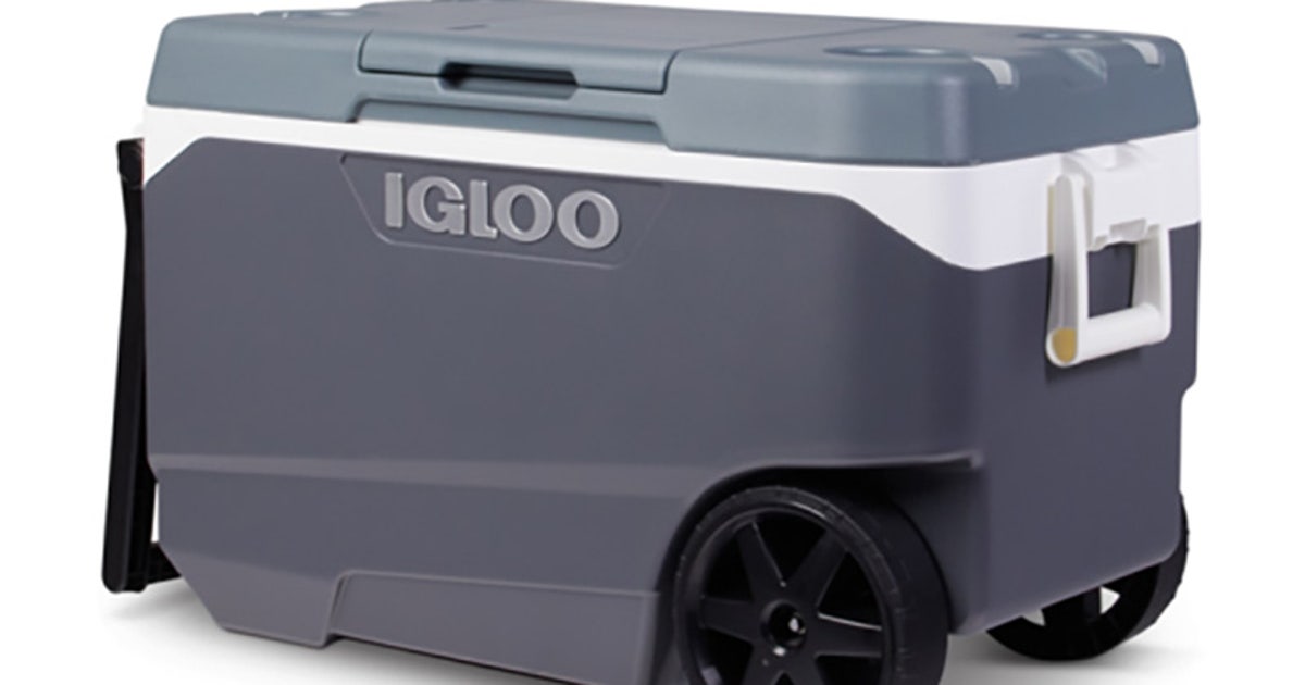 Igloo coolers recalled: Handle can cause fingertip amputations | FOX 13 ...